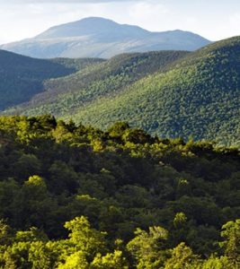 Mt Washington Valley | The Mt Washington Valley Area | White Mountains
